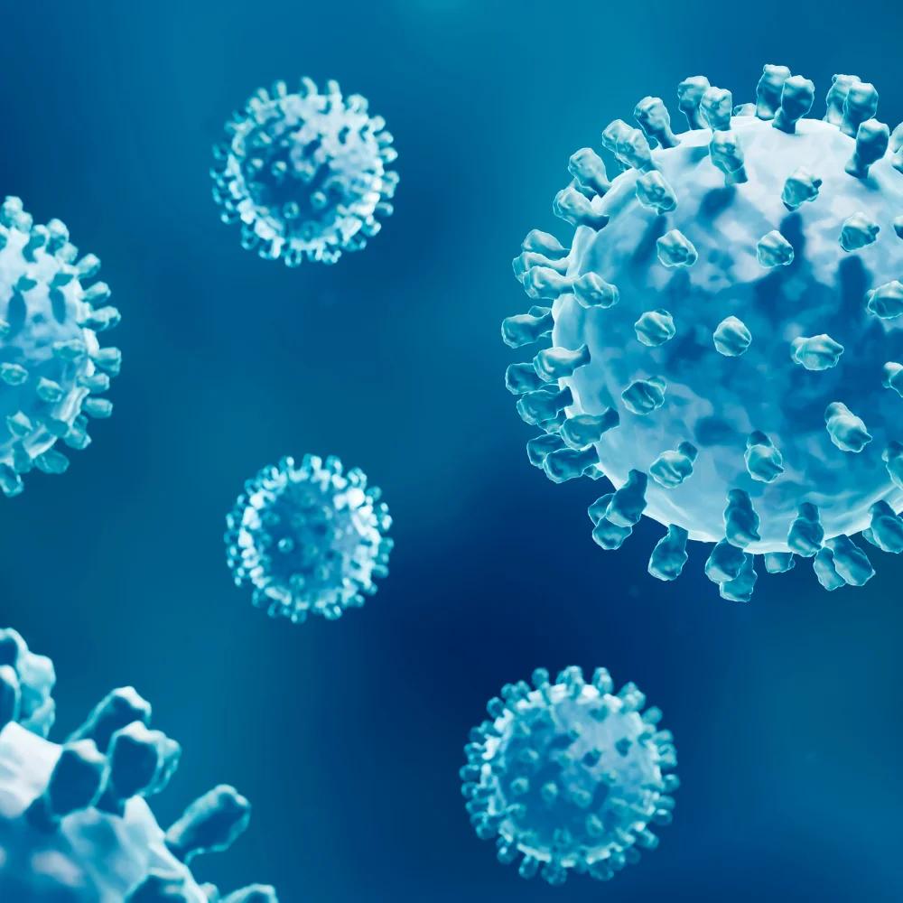 Virus and Immunity Boosting Products [All-Natural] – Remedy's Nutrition